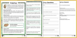 Hedgehogs Reading Comprehension (teacher made)