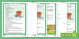 Year 1 All About Rainbows Non-Fiction Reading Comprehension