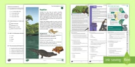 Year 7 NAPLAN Style Reading Practice Test (teacher made)