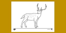 Angry Mahuika Colouring | Colouring Sheets (teacher made)