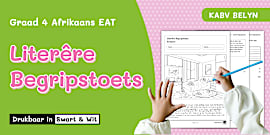 Graad 4 - Afrikaans EAT - Punktuasie