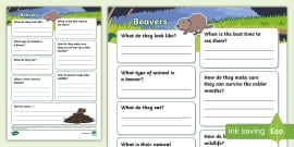 What is a Beaver? – Beaver Facts for Kids – Twinkl