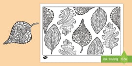 Autumn Mindfulness Colouring Pages (Hecho por educadores)