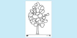 FREE! - Trees Colouring Page for Kids | KS1 Resources | Twinkl