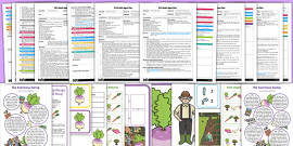 EYFS The Enormous Turnip Lesson Plan and Enhancement Ideas