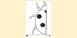FREE! - Ladybird Colouring Sheet - Primary School - Twinkl