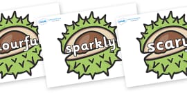 Numbers 0-31 on Horse Chestnuts (teacher made)