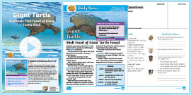 Turtle Template, Turtle, Turtles, Under the Sea, Ocean