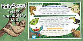 Amazon Rainforest Vocabulary Word Mat