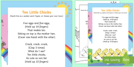 Five Little Chicks Rhyme (teacher made) - Twinkl