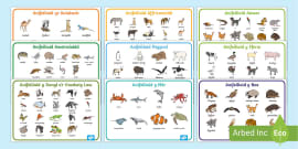 Poster Ein Cynefin (teacher made) - Twinkl