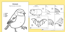 Jungle Color by Number Counting Worksheet / Worksheet