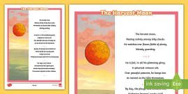 Rainforest Poems KS2 Differentiated Reading Comprehension Activity