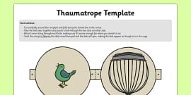 All About Optical Illusions KS2 PowerPoint (teacher made)