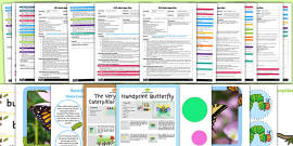 EYFS Life Cycle of a Butterfly Lesson Plan Pack - Twinkl