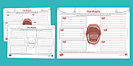 Parts of the Mouth Labelling Activity KS2