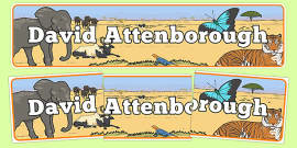 KS1 Sir David Attenborough Differentiated Reading Comprehension Activity