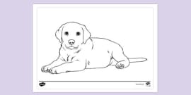 FREE! - Dog Mindfulness Colouring Page | Colouring - Twinkl