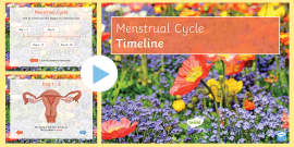 Puberty How Our Bodies Change Diagrams PowerPoint