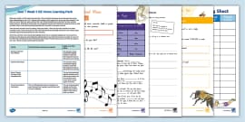 FREE New Zealand Years 7-8 Taster Pack (teacher made)