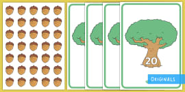 Acorn Counting Game up to 20 (teacher made) - Twinkl