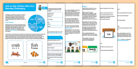 Twinkl Phonics Screening Tracker- Primary Resources - Twinkl