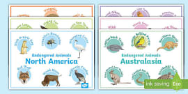 Endangered Animals Fact Sheet (Teacher-Made) - Twinkl