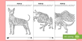 Brazil A4 Colouring Flag (teacher made)