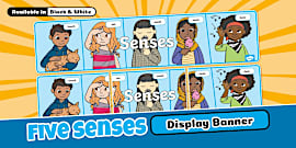 The Five Senses Photo Display Banner