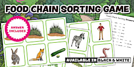 Pictures of the Food Chain Sorting Cards | Twinkl