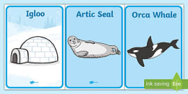Polar Regions Animals Display Posters - Polar List - Twinkl