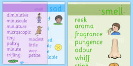 Synonyms Thesaurus Wheel Word Grid (teacher made)