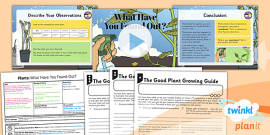 Water Movement in Plants KS2 | Transportation in Plants