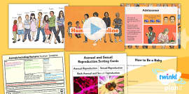 Human Growth Timeline Worksheet (teacher made)