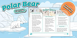 Polar Bear Word Mat,Polar Bear Adjectives