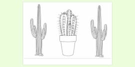 Cactus Colouring Sheet (teacher made) - Twinkl