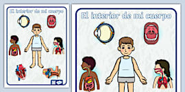 Afiches: Imágenes de cómo cuido mi cuerpo para niños |Twinkl