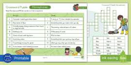 Grade 3 Phonics: Homophones: Homework Sheet (teacher made)