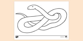 What is a Snake? – Snake Facts for Kids – Twinkl