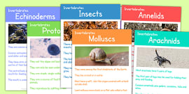 KS2 Vertebrates and Invertebrates Animal Groups Display Posters