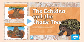 Australian Echidna Facts | Information + Resources | Twinkl