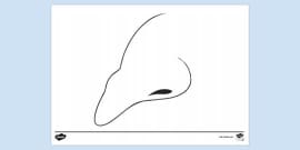 FREE! - Nose Colouring | Colouring Sheets (teacher made)