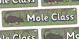 FREE! - Starling Themed Classroom Display Banner - Twinkl