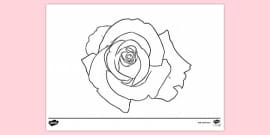 FREE! - Bunch Of Roses Colouring Page (teacher made)