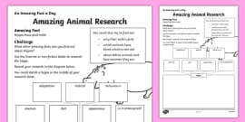 Animal Research Report | Science Resources | Twinkl
