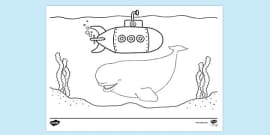 Baby Whale Colouring Page (teacher made) - Twinkl