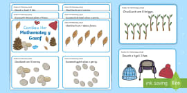 Cardiau Her Mathemateg Blwyddyn 2 (teacher made)
