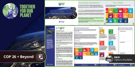 Sustainable Development Goals Worksheet (teacher made)