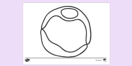 What is a Section? Twinkl Guide - Twinkl