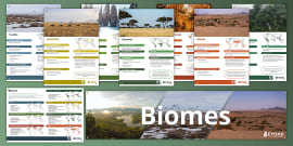 World Biomes Map - Primary Geography - KS2 Resources